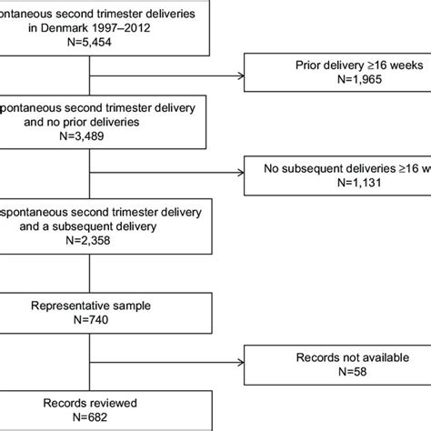 flowchart of selection for validation download scientific diagram