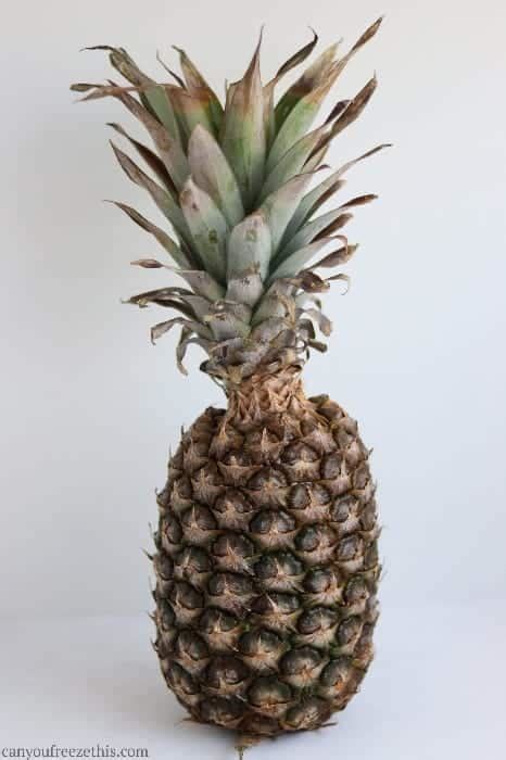 How To Freeze Pineapple Can You Freeze This