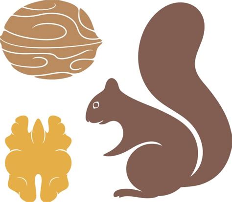 Squirrel Royalty Free Vector Image Vectorstock