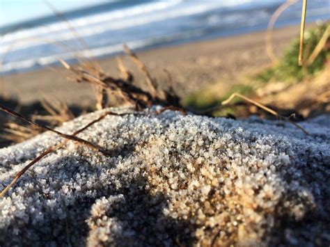 Jamming Quequen Jamming Quequen Added A New Photo