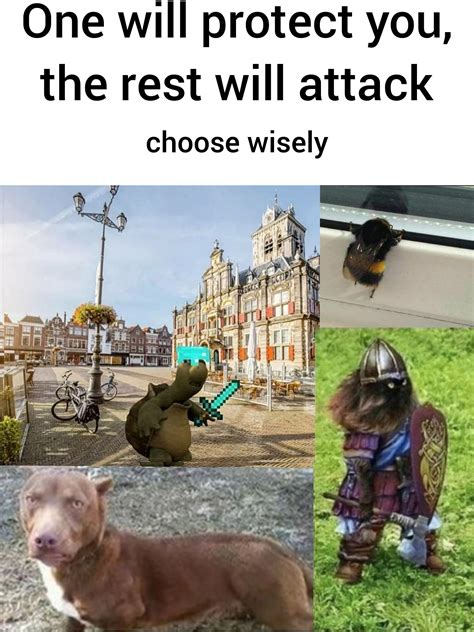 Xhoose Wisely Ronewillprotectyou