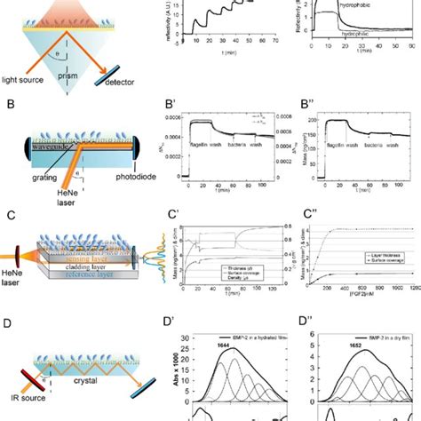 Current Microneedle Devices A Microstructured Transdermal System Download Scientific