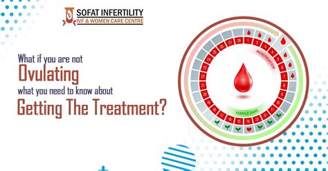 What If You Are Not Ovulating What You Need To Know About Getting The
