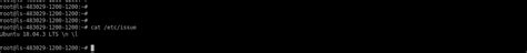 LayerStack Tutorials LayerStack How To Update CentOS Ubuntu And Debian Version Of Linux