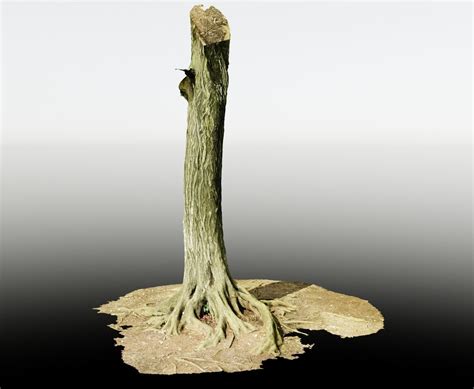 Wood Scan Asset 5 3d Model Cgtrader