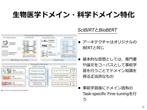 Derivative Models From Bert Pdf