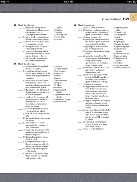 Principles Of Anatomy And Physiology Chapter 28 The Reproductive