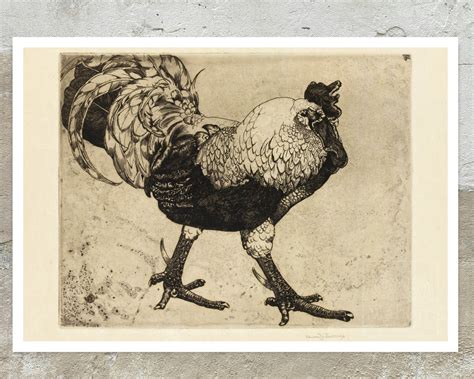 Edward Julius Detmold Etching Of A Cockerill Fine Art Print Mabon