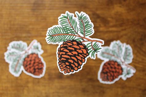 Maine State Flower White Pine Cone Etsy