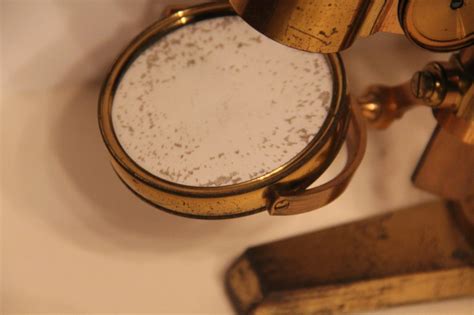 ~fine Randj Beck Circuit Stage Binocular Microscope~ Fleaglass