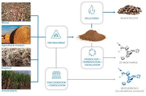 Pretreatment Technology For Biomass