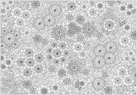 Bojanke Za Odrasle Lala Bojanke