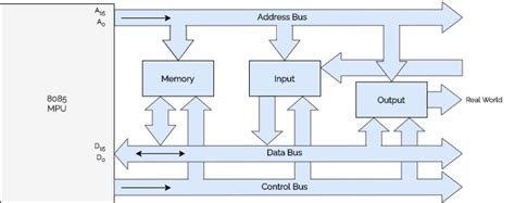 8085 Bus Organization Microprocessors Tutorials Teachics