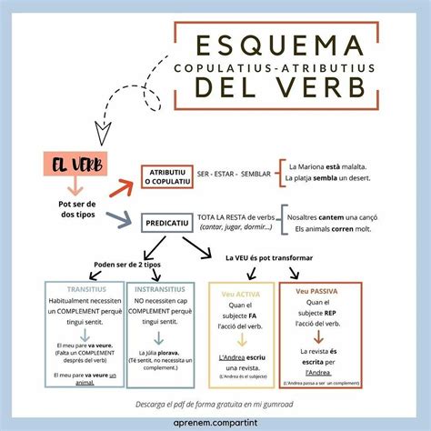 Esquema El Verb