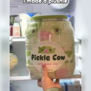 新款louisayy Plushie毛绒玩偶支持来图来样 阿里巴巴