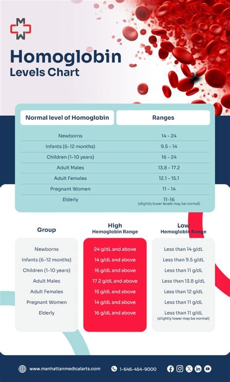 Best 13 Hemoglobin Normal High And Low Levels By Age Mma Artofit