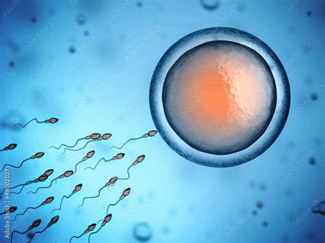 sperm cell | Discovery Institute