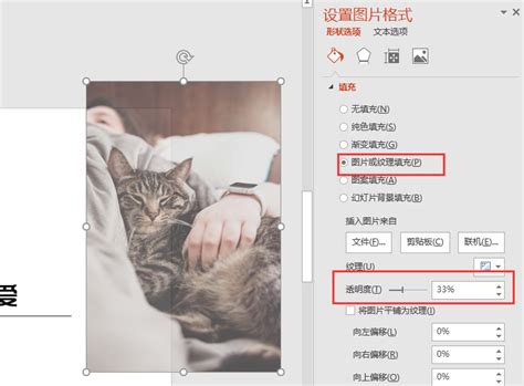 如何用ppt制作图片虚化背景？ 知乎