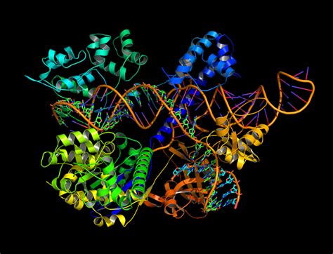 Zhang Lab Unlocks Crystal Structure Of New Crisprcas9 Genome Editing