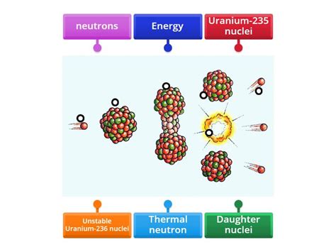 Fission Reaction Labelled Diagram