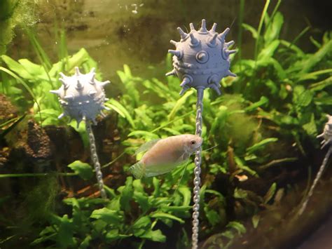 Aquarium Floating Mine By Idmyron Makerworld Download Free 3d Models
