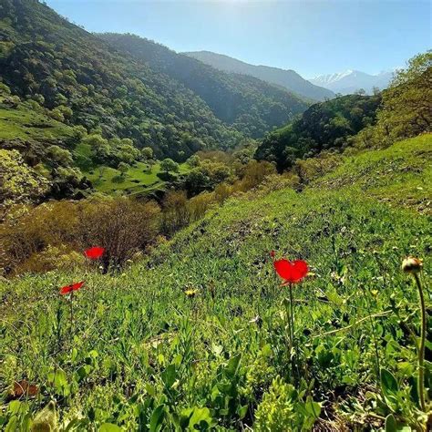 باینگان و ساتیاری نوروزی 10 تا 13 فروردین یوتوپین