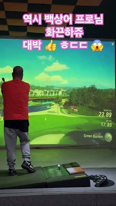 백상어 프로님 대박 👍 ㅎㄷㄷ 😱 골프레슨 아이언레슨 필드레슨 골프 골프존 퍼터 퍼팅 퍼터레슨 퍼팅레슨 비거리 드로우샷 페이드