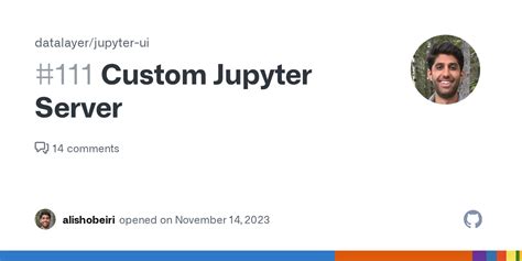Custom Jupyter Server · Issue 111 · Datalayerjupyter Ui · Github