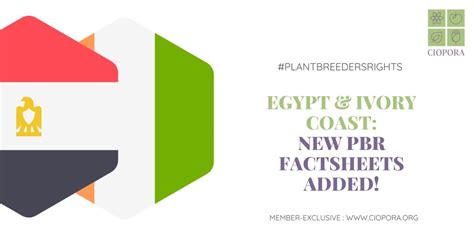 Well Done Hadeer Al Sayed Hassane El Sheref