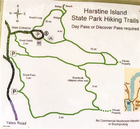Harstine Island Washington Baldhiker