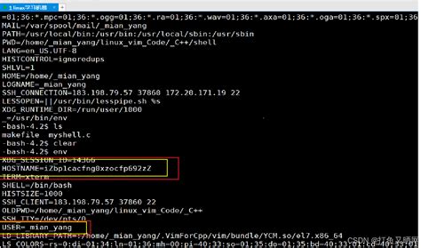 linux进程篇总结——实战——自定义shell linux 自启动shell 是独立进程 吗 csdn博客