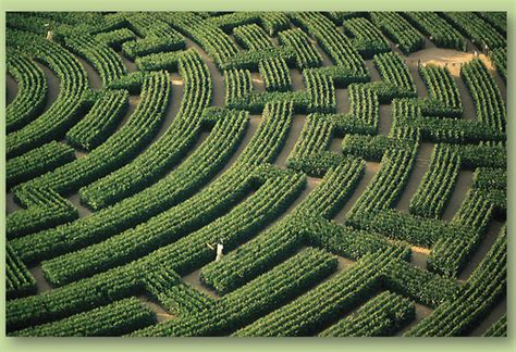 The Maze Challenging The Perceptions For Our Realities