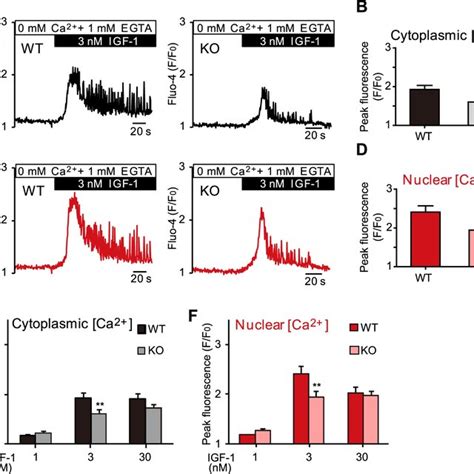 Involvement Of Neuronal Calcium Sensor 1 In Ip3r Dependent Ca2 Release