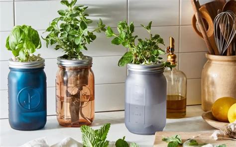 How To Start A Kitchen Herb Garden In Jars Bademiya