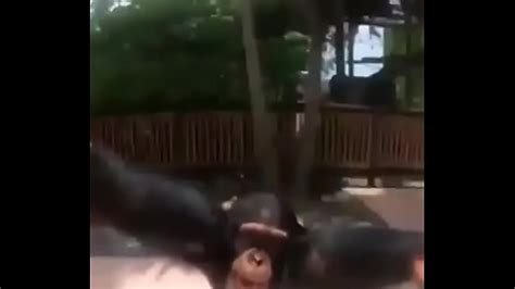 Monkey Rocker Cum Net Porn Xxx