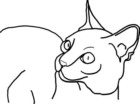 Contour Drawing This Contour Drawing Is Based On This Phot… Flickr