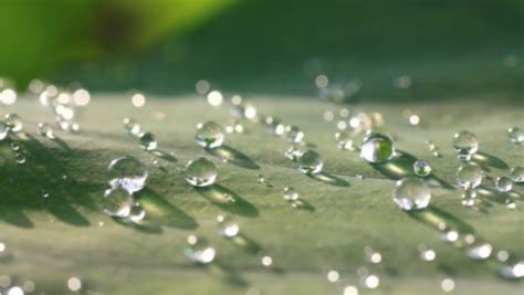 Streamlining The Situation Reducing Drag On Superhydrophobic Surfaces Shs Statnano