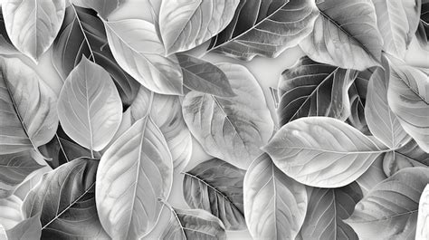 Folhas Cinza Imagens Download Grátis No Freepik