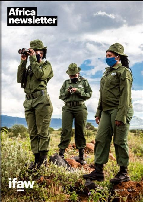 Iris Boers Posted On Linkedin