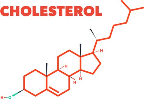 Cholesterol Structure