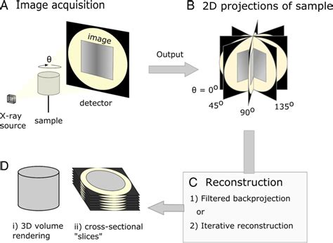 Advances In Micro Computed Tomography Tech And Science Post