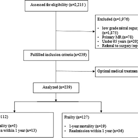 Flow Chart Of Patient Inclusion Download Scientific Diagram
