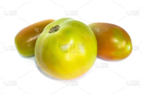 未成熟的西红柿