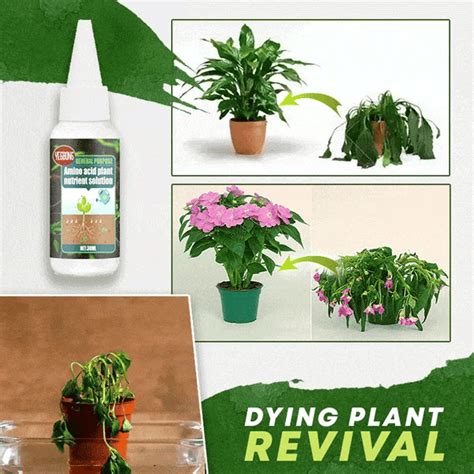 Plant Nutrient Solution Greeniopk