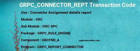 Grpcconnectorrept Sap Tcode For Connector Assignment Details Report