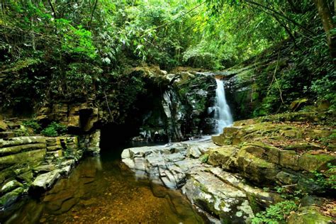 Bach Ma National Park Hiking Trekking In Da Nang And Hoi An Central Vietnam Guide