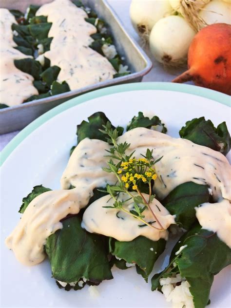 Beet Leaf Rolls With Creamy Dill Sauce Shifting Roots