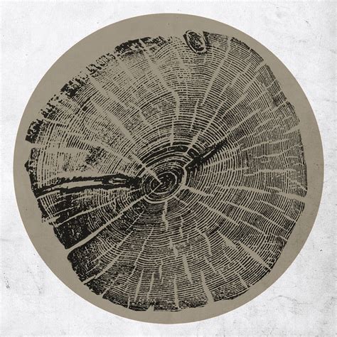 ‎h Bender By Roy Montgomery On Apple Music