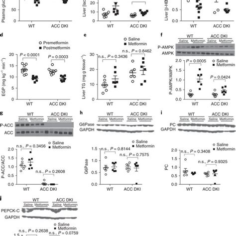 Structure Of Pioglitazone Download Scientific Diagram
