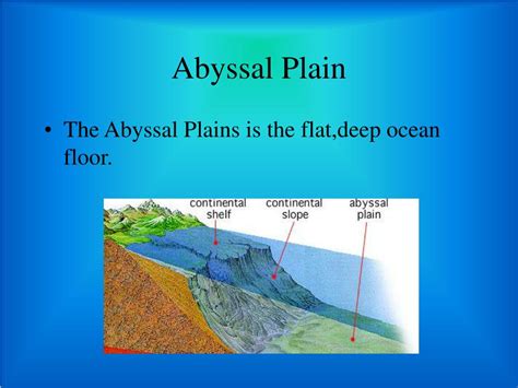 Ppt Oceanography Powerpoint Presentation Free Download Id197210